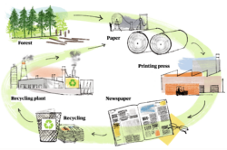 How The Guardian’s commitment to the environment is building reader ...